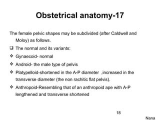M2 2009 obstetrical anatomy (2) | PPT
