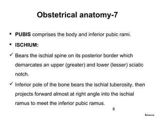 M2 2009 obstetrical anatomy (2) | PPT