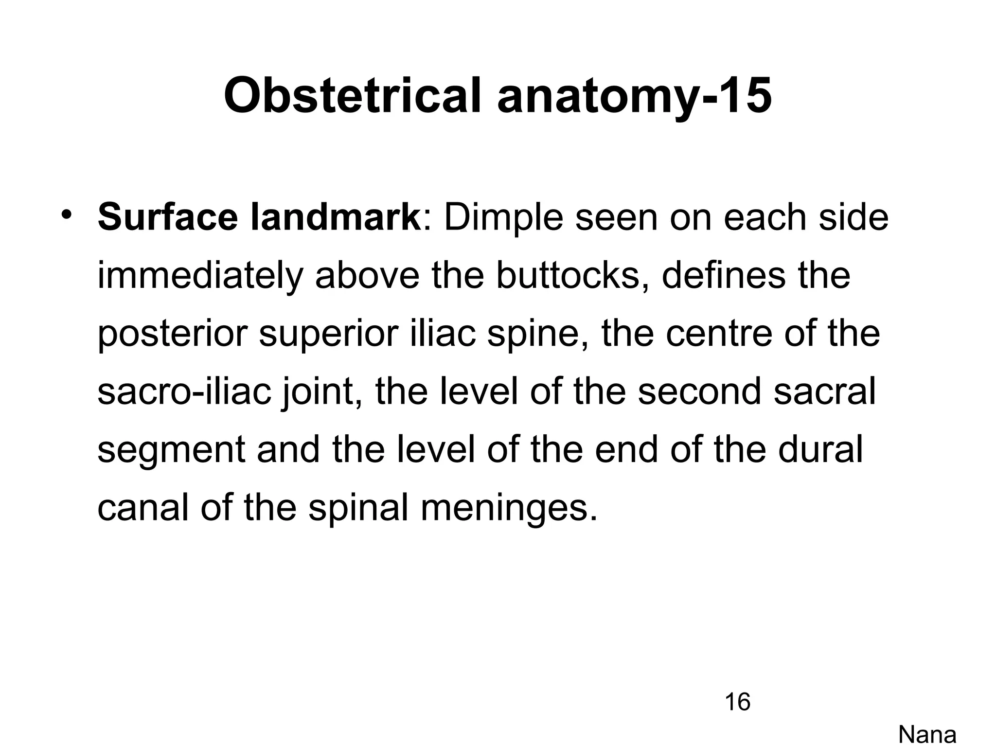 M2 2009 obstetrical anatomy (3) | PPT