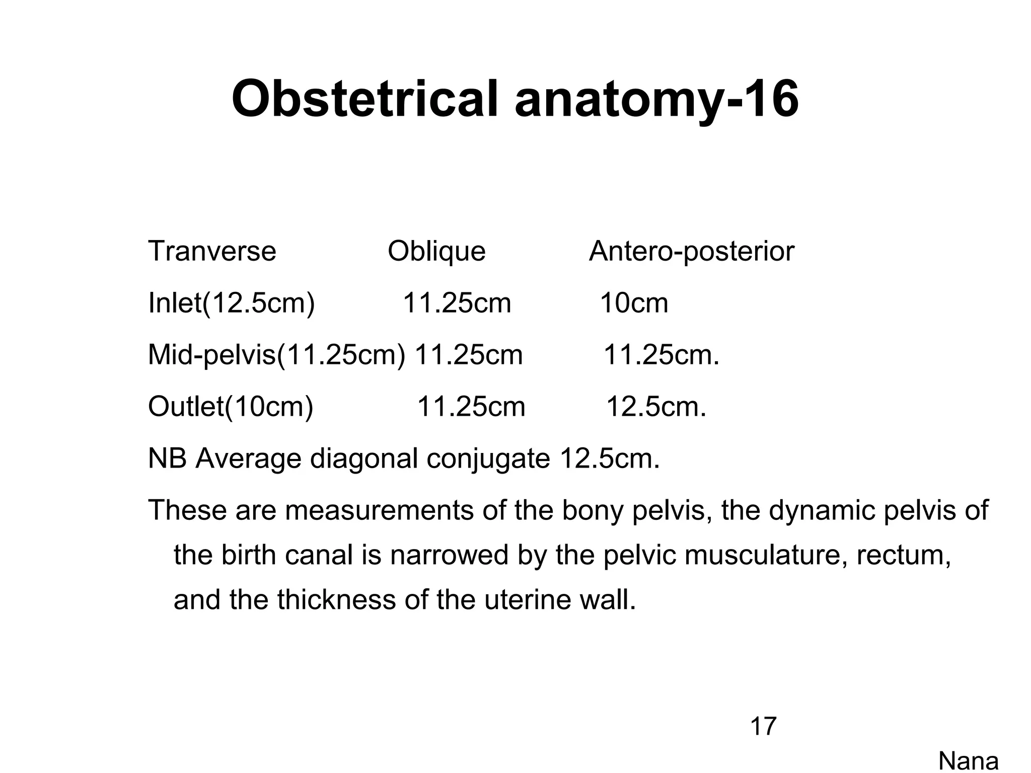 M2 2009 obstetrical anatomy (3) | PPT