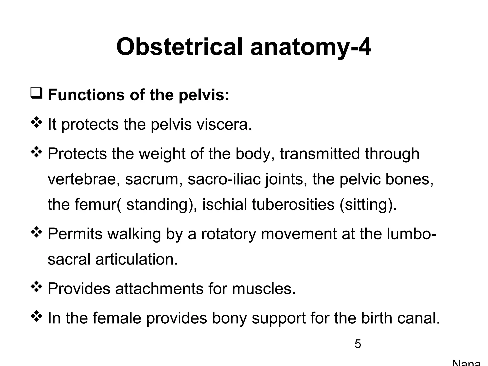 M2 2009 obstetrical anatomy (3) | PPT