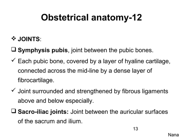 M2 2009 obstetrical anatomy (3) | PPT