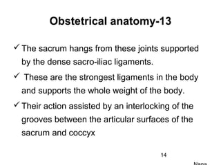 M2 2009 obstetrical anatomy (3) | PPT