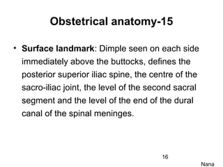 M2 2009 obstetrical anatomy (3) | PPT