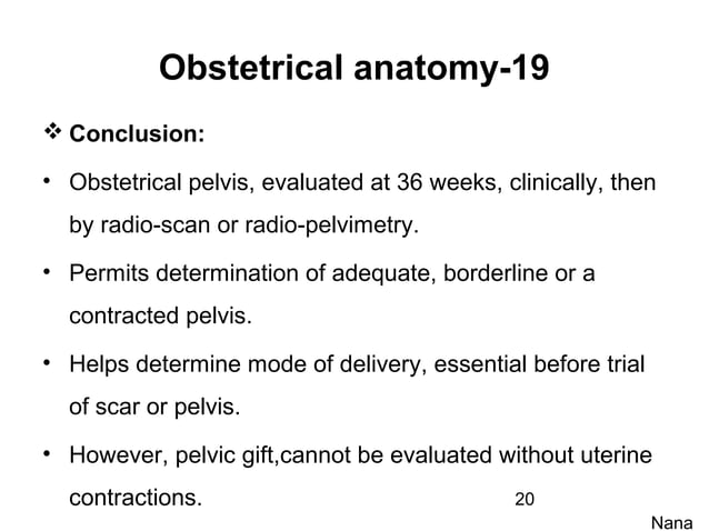 M2 2009 obstetrical anatomy (3) | PPT