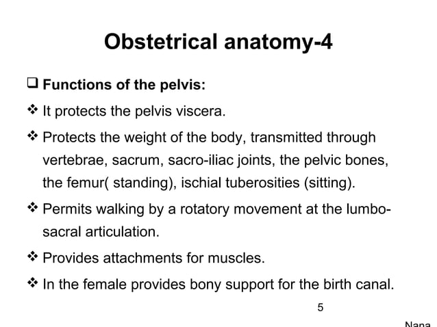 M2 2009 obstetrical anatomy (3) | PPT