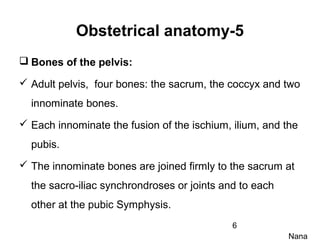 M2 2009 obstetrical anatomy (3) | PPT