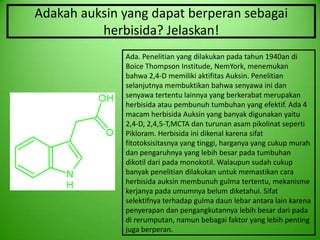 M22 kelompok 7 hormon tumbuhan | PPTX