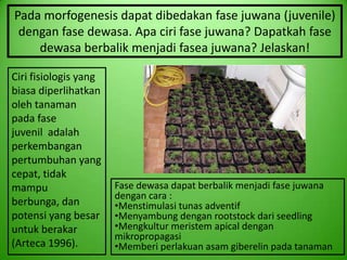 M23 kelompok 7 pertumbuhan dan perkembangan tanaman | PPTX
