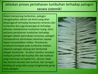 M24 kelompok 7 respon tanaman | PPTX