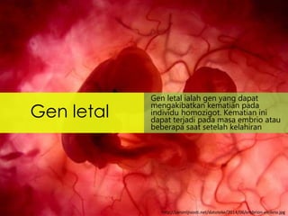 M2 kb1 genetika dasar | PPT