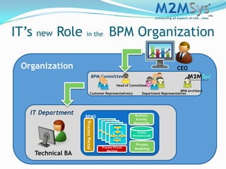 M2MSys BPM Executive Summary | PPT