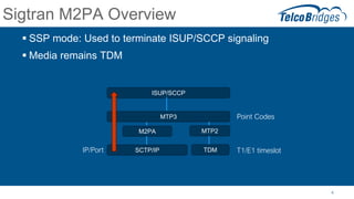 SIGTRAN M2PA Technical Training from TelcoBridges | PDF