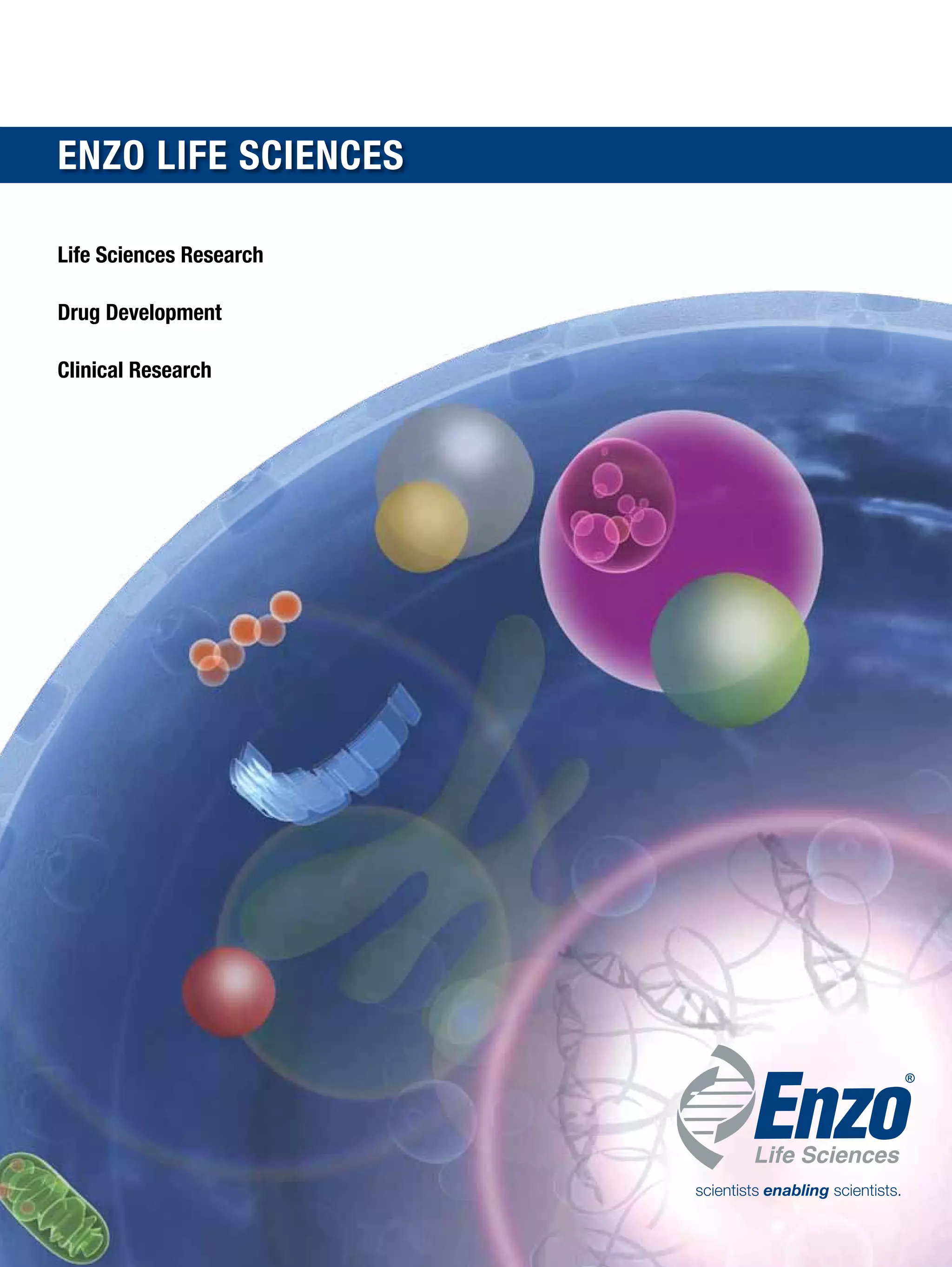 Enzo capabilities brochure | PDF