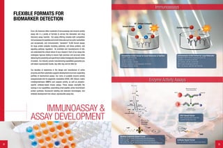 Enzo capabilities brochure | PDF