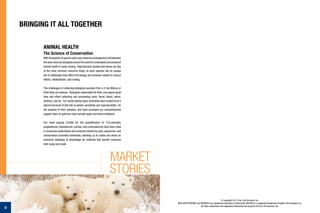 Enzo capabilities brochure | PDF