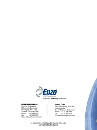 Enzo capabilities brochure | PDF