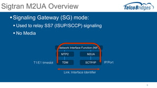 SIGTRAN M2UA Technical Training from TelcoBridges | PDF | Computer Networking | Computing