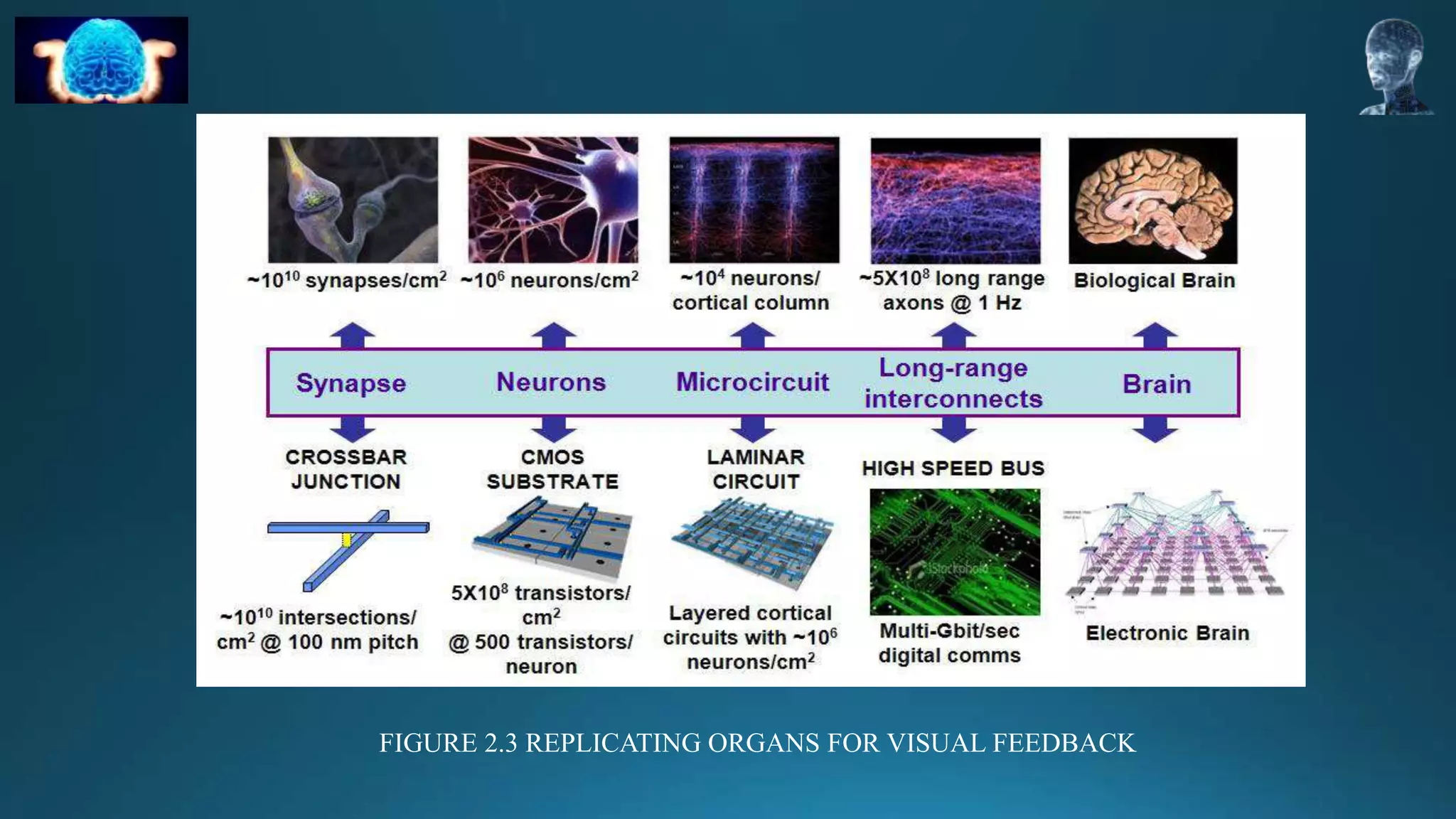 The-man-machine-man(m3) interfacing with the blue brain technology | PPT