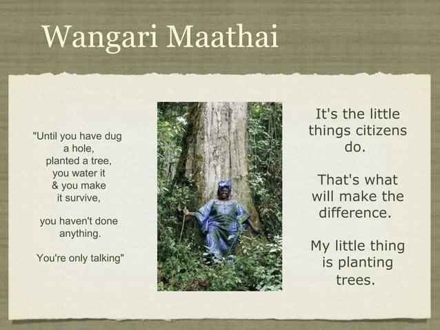 PDC+++ Module 3 Class 9 Trees I | PPT | Gardening | Home & Garden