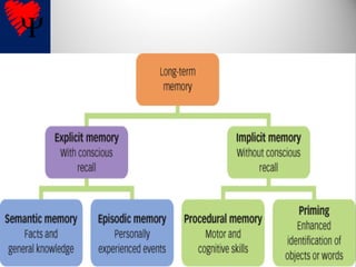 M32 physiology of memory | PPT