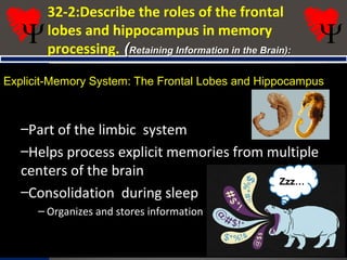 M32 physiology of memory | PPT