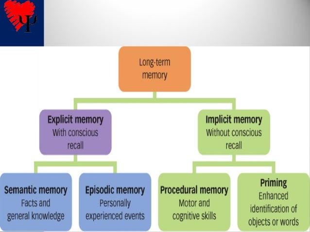 M32 physiology of memory