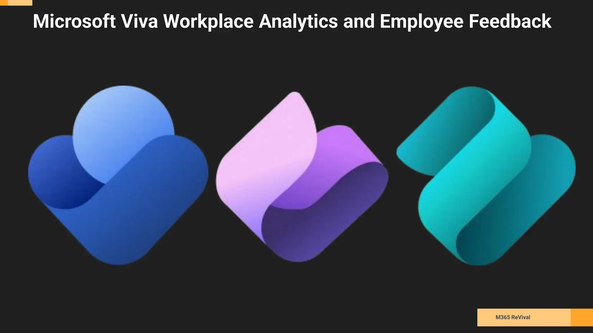 Microsoft Viva and Copilot Governance | M365 ReVival | Feb 2024 | PDF ...