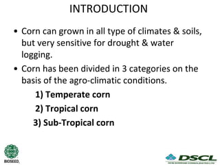 M3 Corn Agronomy Trial Information-1.ppt
