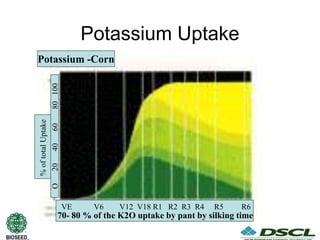 M3 Corn Agronomy Trial Information-1.ppt