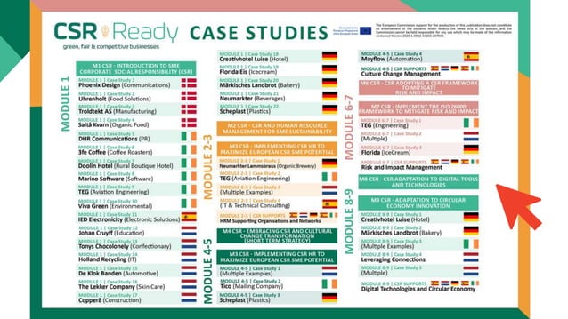 M3 CSR - Implementing CSR HR to Maximize European CSR SME Potential.pptx