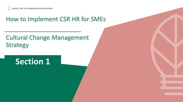 M3 CSR - Implementing CSR HR to Maximize European CSR SME Potential.pptx