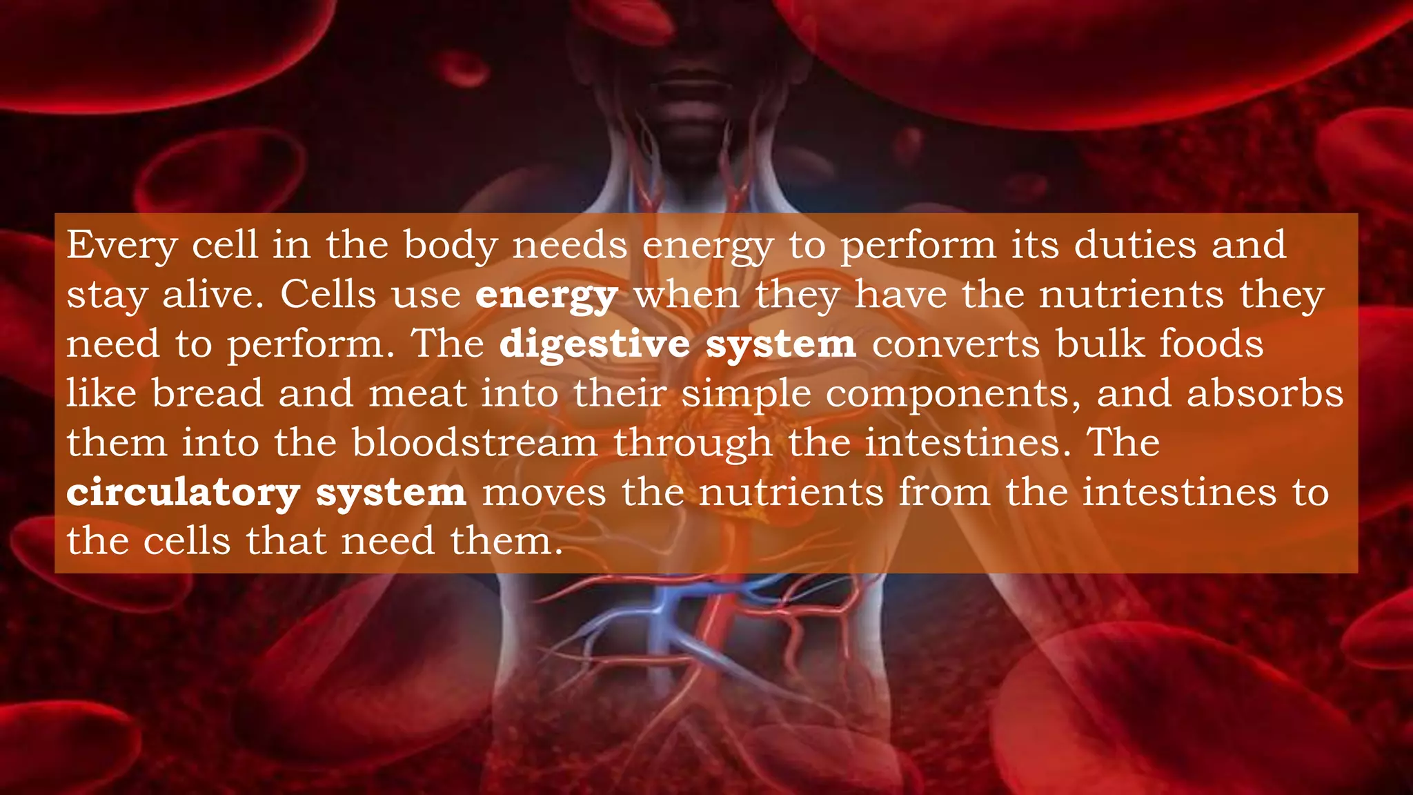 M3_Digestion Interaction with other Organ Systems.pptx