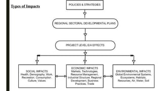 Environmental impact assessment (EIA) ppt | PPT