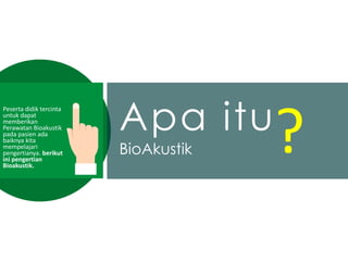 M3 kb3 bioakustik | PPTX