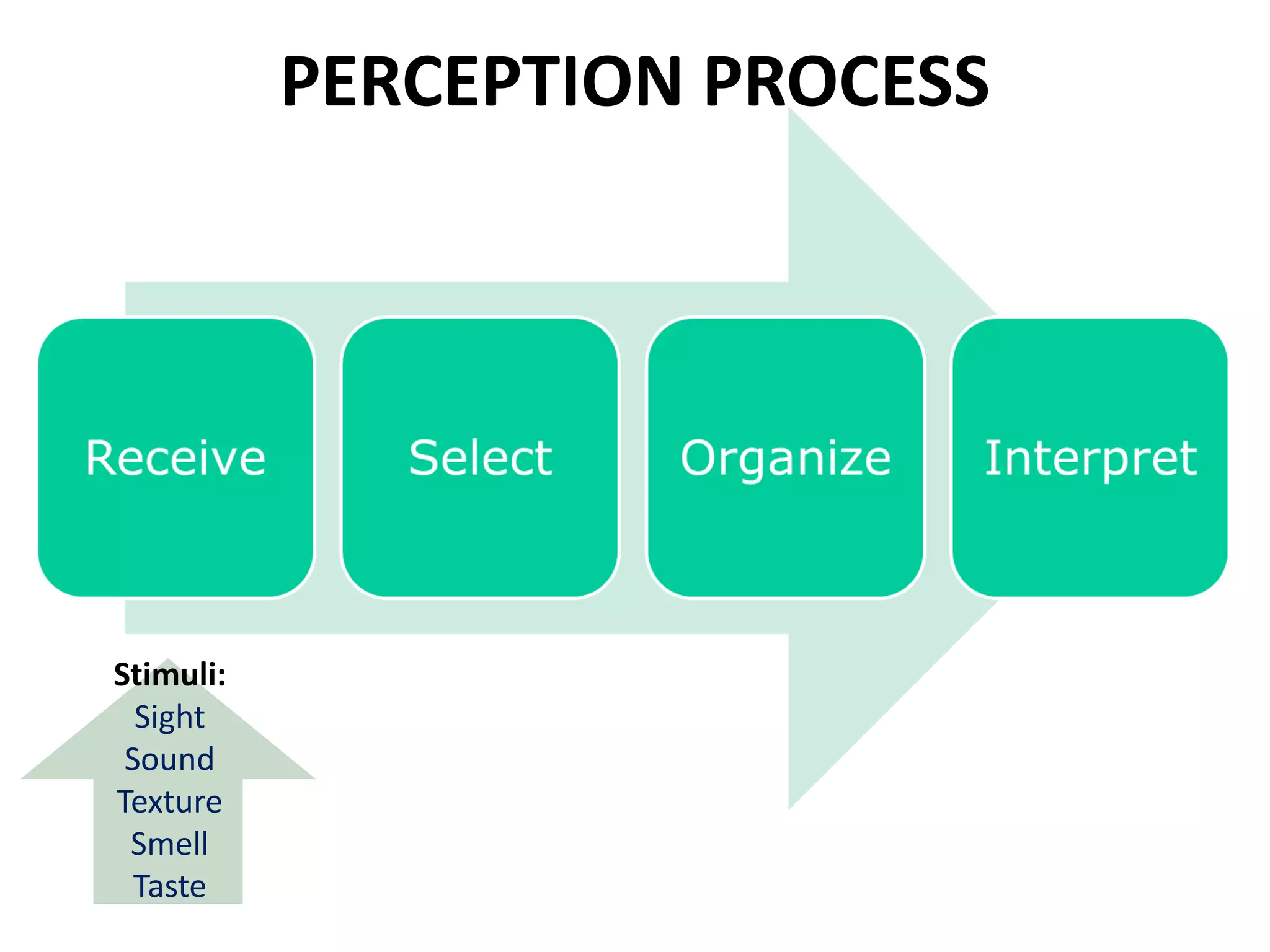 Module 3 Lesson 3: Perception | PPTX