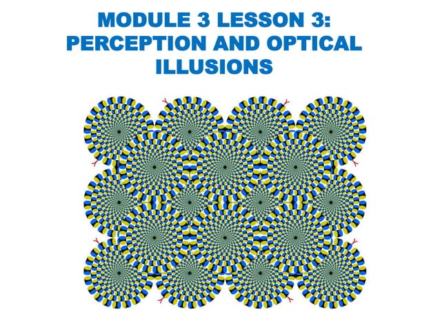 Module 3 Lesson 3: Perception | PPTX