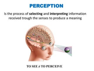 Module 3 Lesson 3: Perception | PPTX