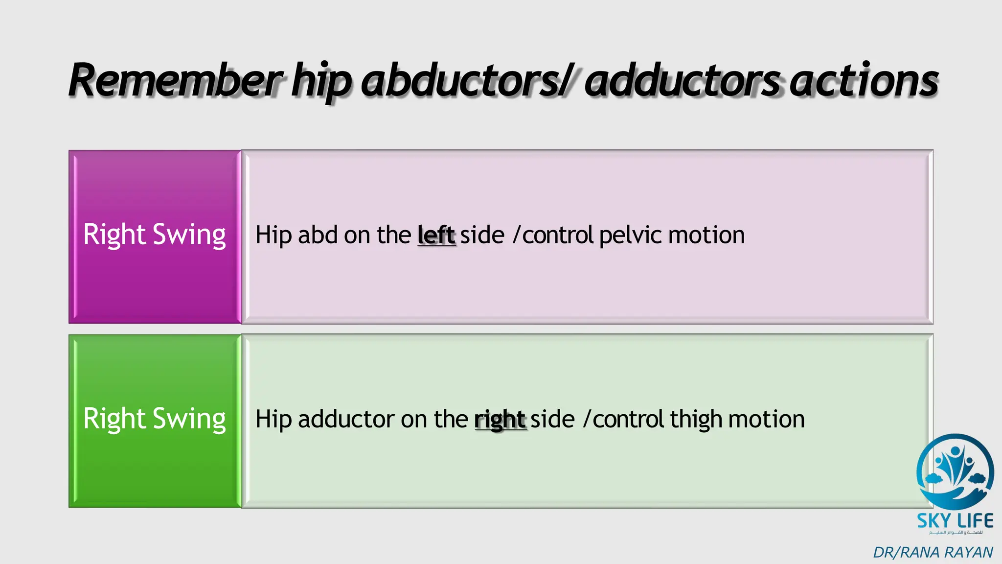 M3 L3 Dr. Rana Rayan GaitBiomechanics of hip & pelvis.pdf