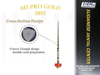 M3 pro gold 2018 new | PPTX