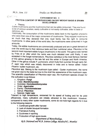 M3-Protein Content of Mushrooms | PDF
