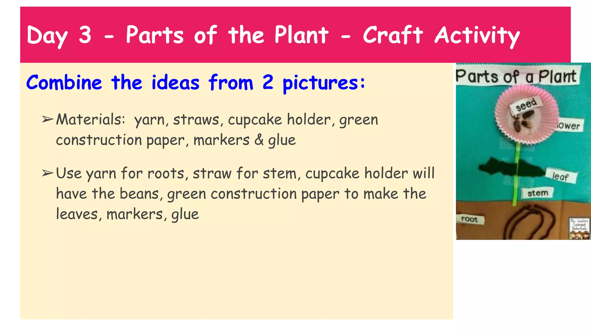 M3 u4a2 pbl - growing plants- kindergarten | PPTX | Gardening | Home ...