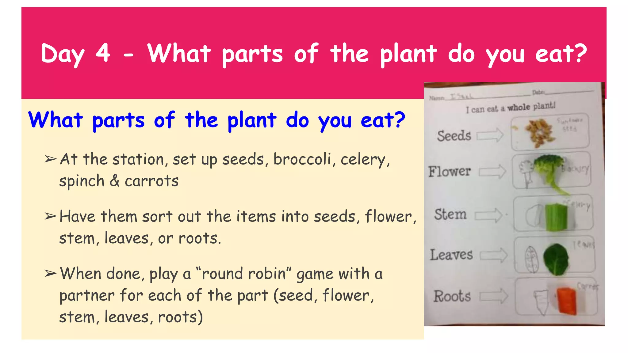 M3 u4a2 pbl - growing plants- kindergarten | PPTX