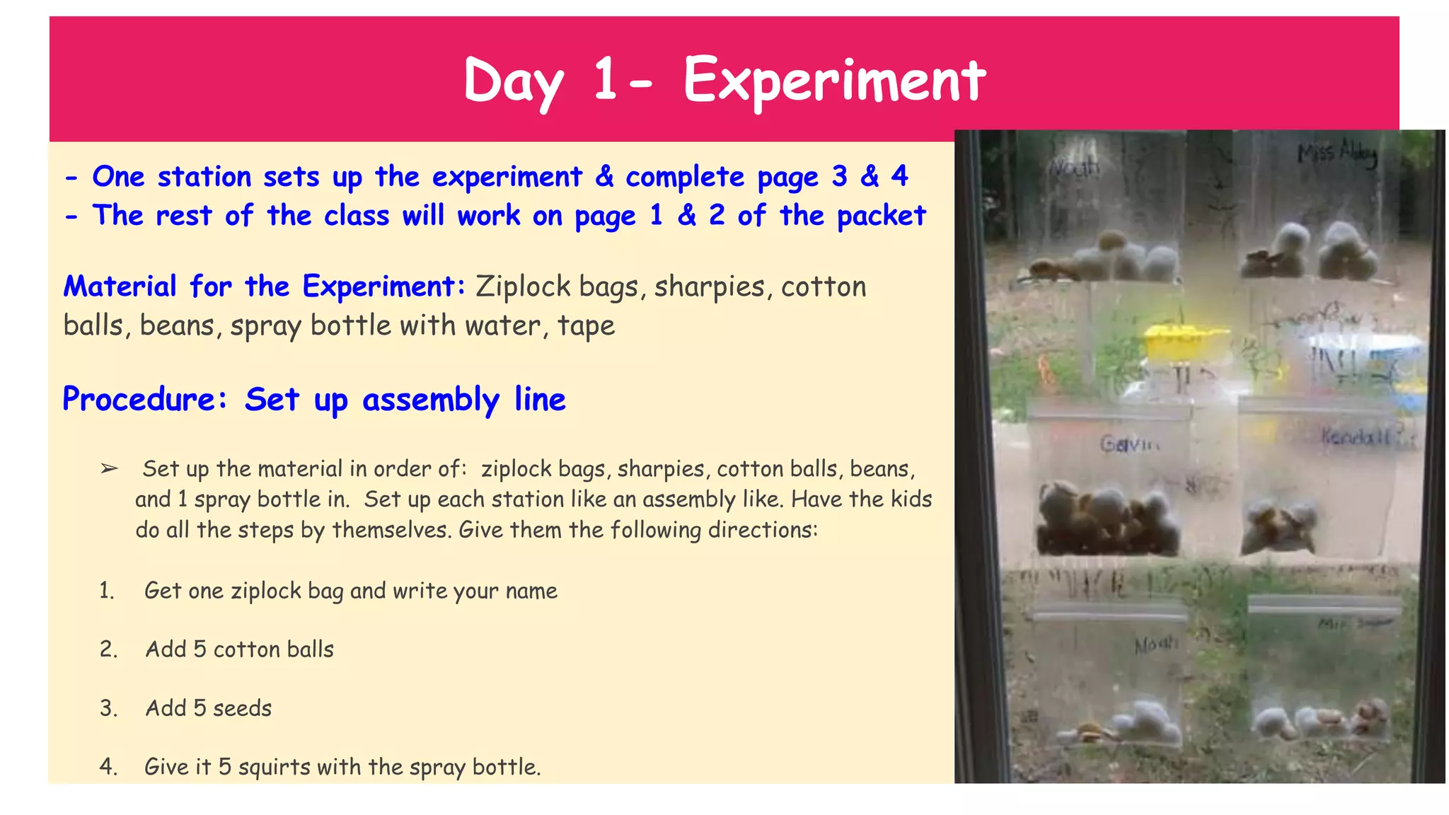 M3 u4a2 pbl - growing plants- kindergarten | PPTX | Gardening | Home ...