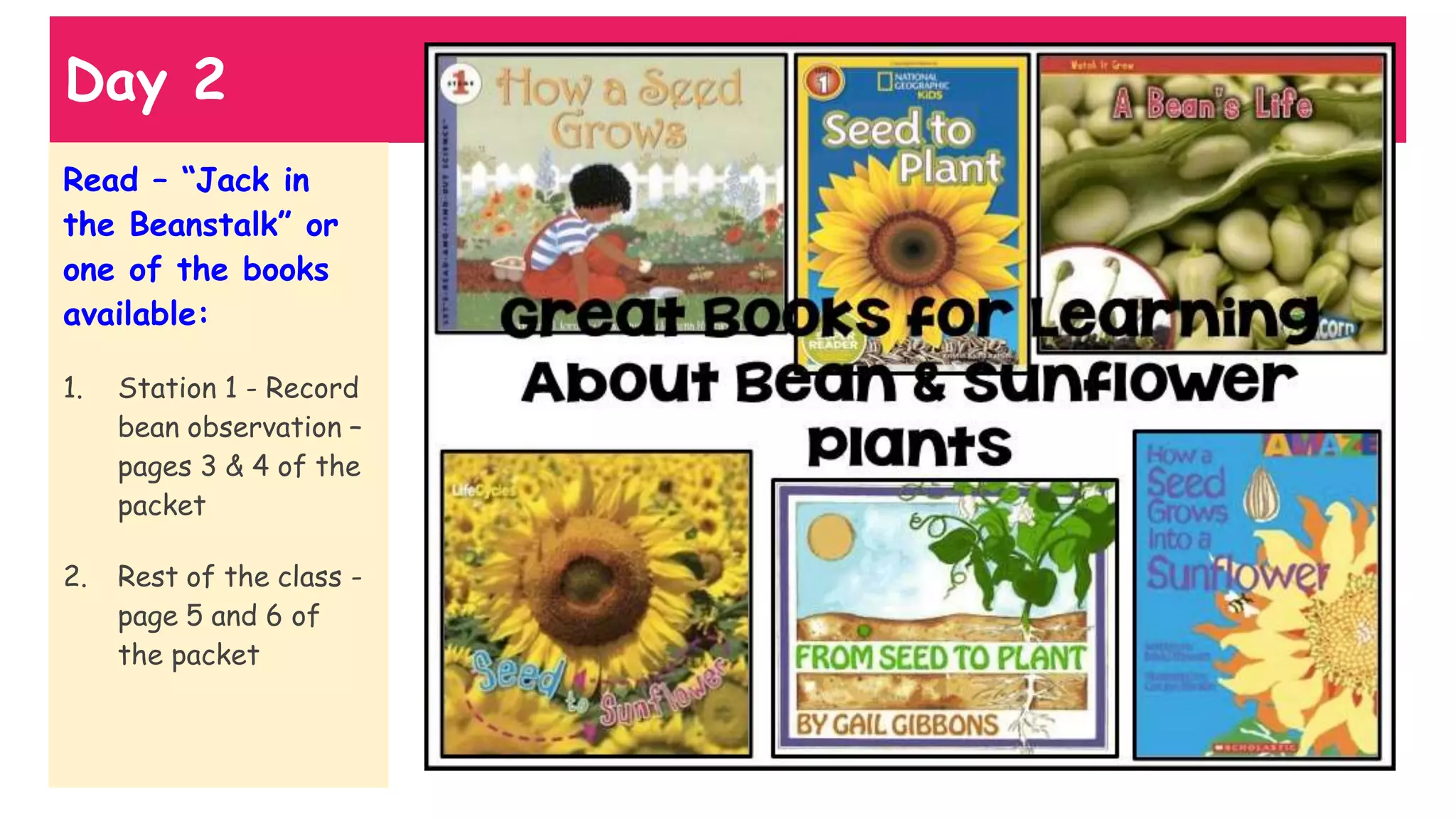 M3 u4a2 pbl - growing plants- kindergarten | PPTX | Gardening | Home ...