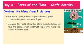 M3 u4a2 pbl - growing plants- kindergarten | PPTX | Gardening | Home ...