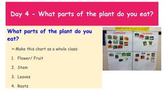 M3 u4a2 pbl - growing plants- kindergarten | PPTX | Gardening | Home ...