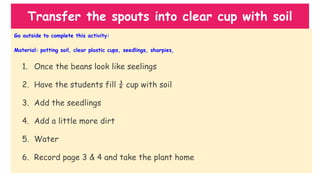 M3 u4a2 pbl - growing plants- kindergarten | PPTX | Gardening | Home ...