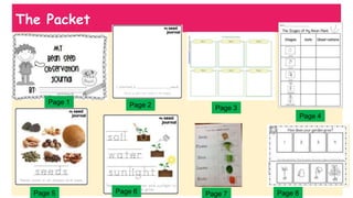 M3 u4a2 pbl - growing plants- kindergarten | PPTX | Gardening | Home ...