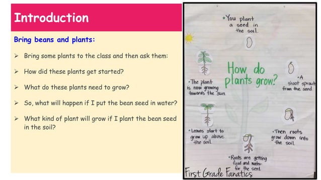 M3 u4a2 pbl - growing plants- kindergarten | PPT